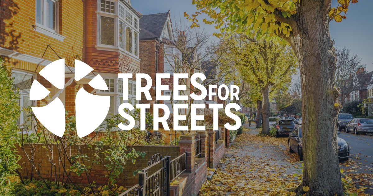 Croydon residents sponsor trees to green up their streets – EAST ...